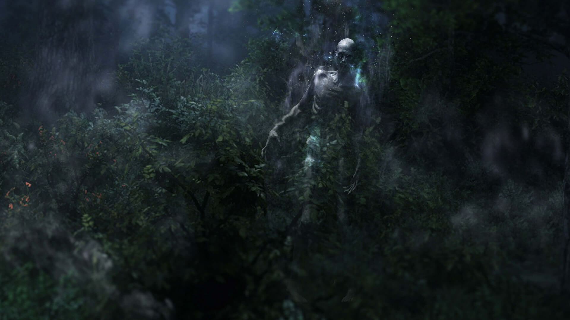 What is a Pacifist · New World Pacifist